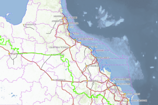 Cattle Tick – Central Station