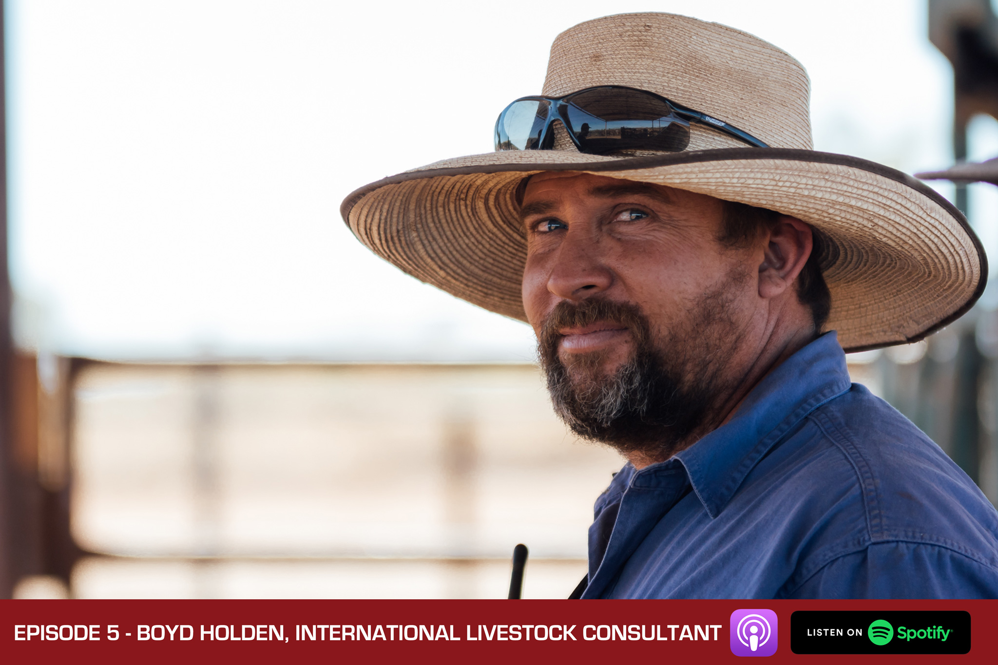 Episode 5: Boyd Holden – working overseas in the live export industry ...